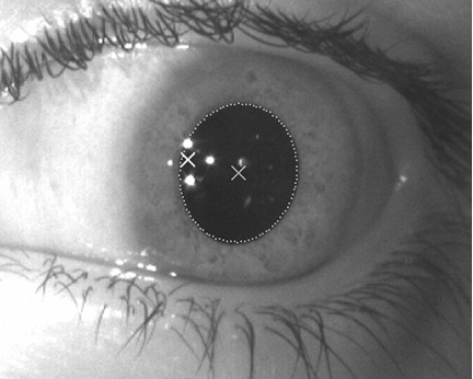 Robust Eye Tracking Methods