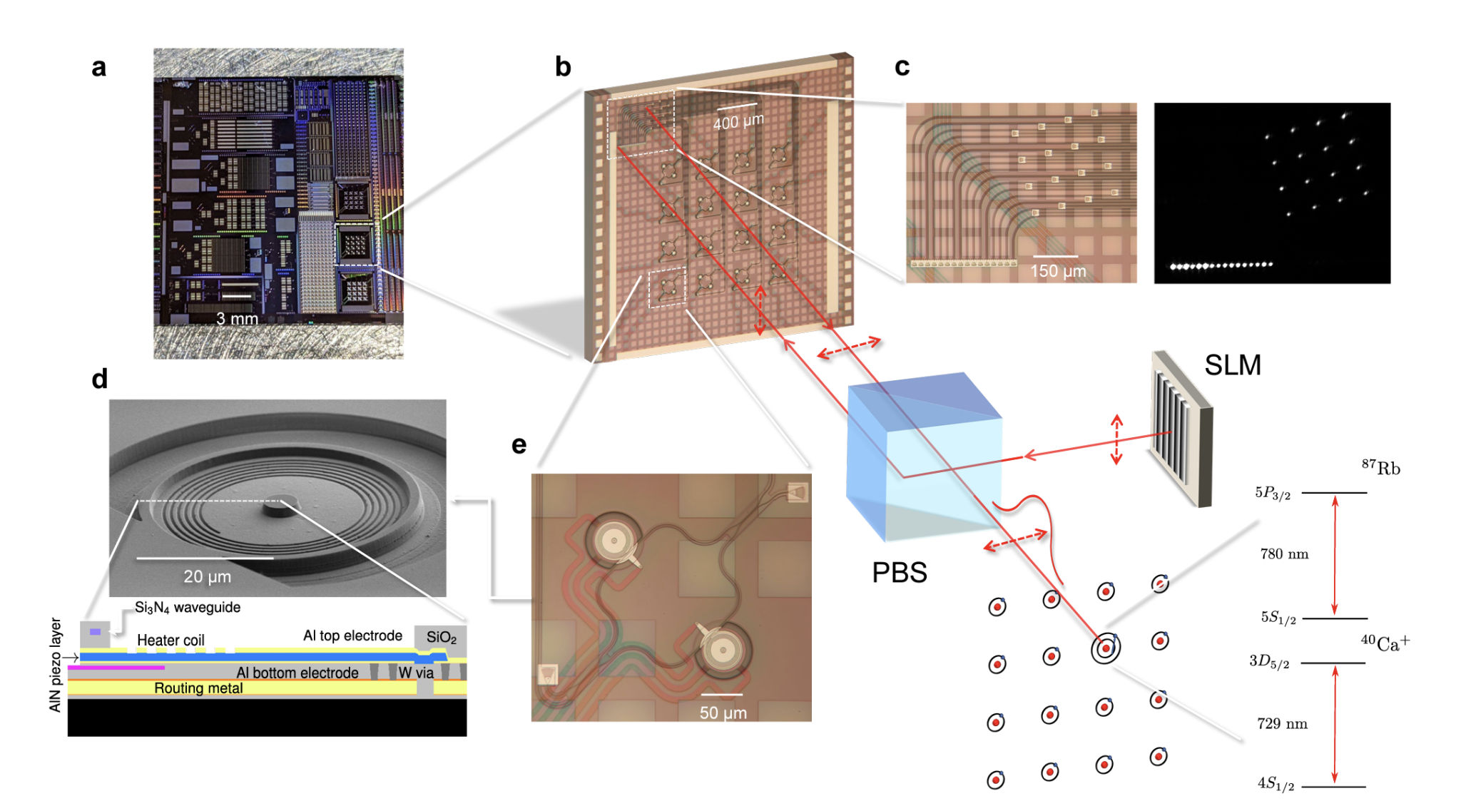 Ultra-scalable photonics for quantum computing and networking