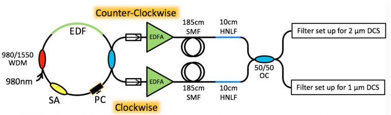 Dual Comb Spectroscopy