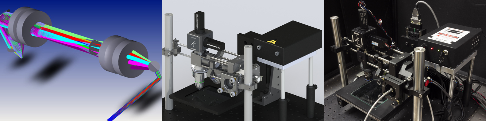Multiphoton Microscopy